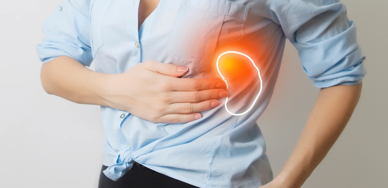 La milza ingrossata (Splenomegalia) - Santagostino Magazine