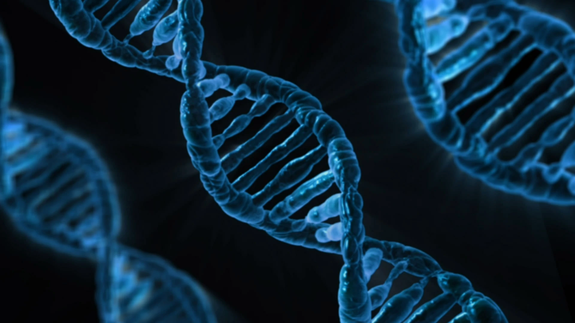 Genetica medica | Test DNA fetale | Santagostino