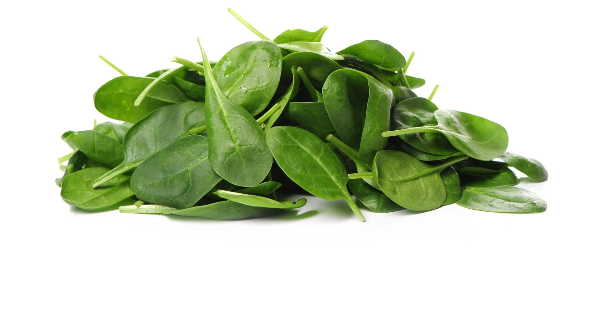 Sideremia, come funziona l’esame del ferro sierico - Santagostino Magazine